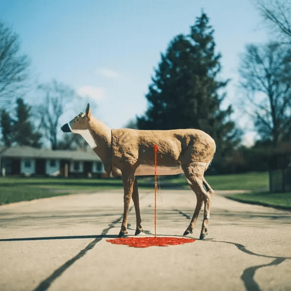 Wayne Graham Albums: songs, discography, biography, and listening guide ...