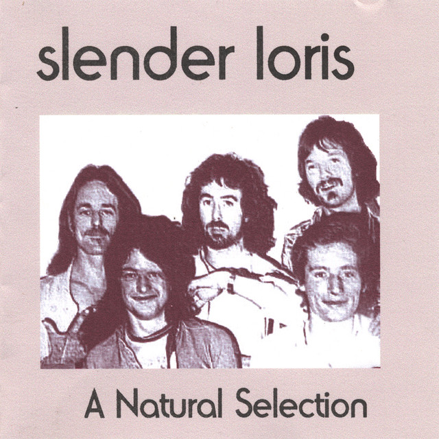 Slender Loris Albums: songs, discography, biography, and listening ...