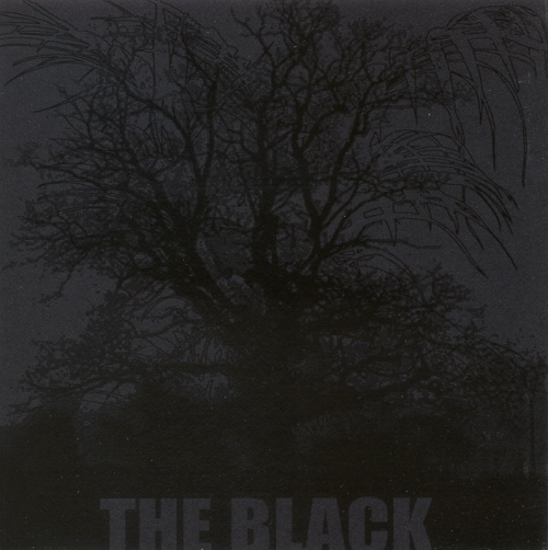 The Black Albums: songs, discography, biography, and listening guide ...