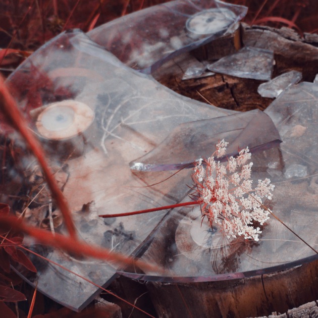 cèrvol by Maranya (Single): Reviews, Ratings, Credits, Song list - Rate ...