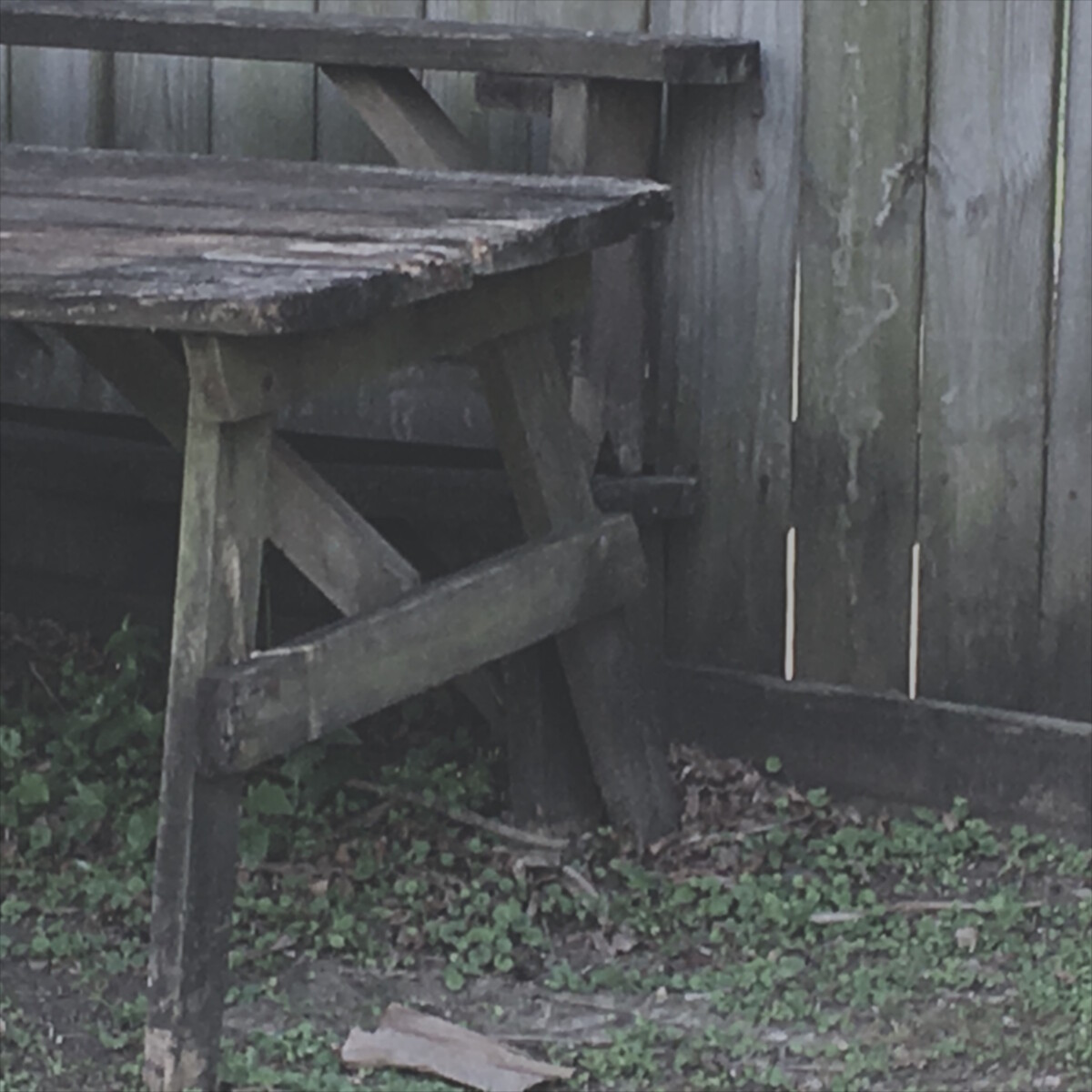 Garden Party by Blue Limits (Album): Reviews, Ratings, Credits, Song ...