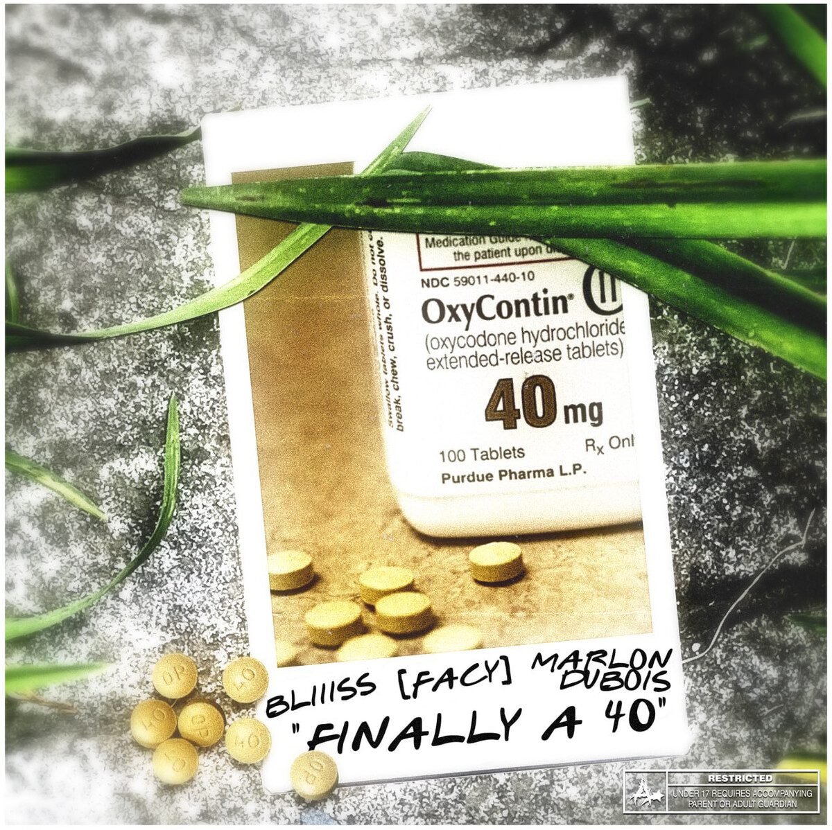 bliiiss Albums: songs, discography, biography, and listening guide ...