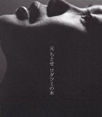 ワダツミの木 (Wadatsumi no Ki) by 元ちとせ [Chitose Hajime] (Single, J-Pop): Reviews, Ratings, Credits ...