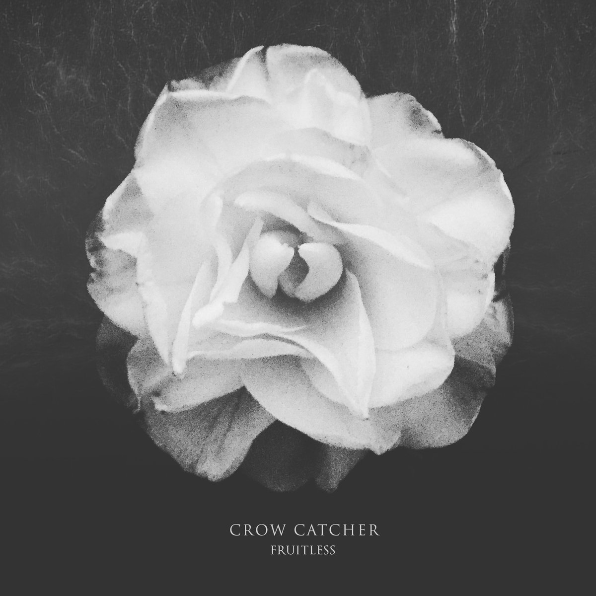 Crow Catcher Albums: songs, discography, biography, and listening guide ...