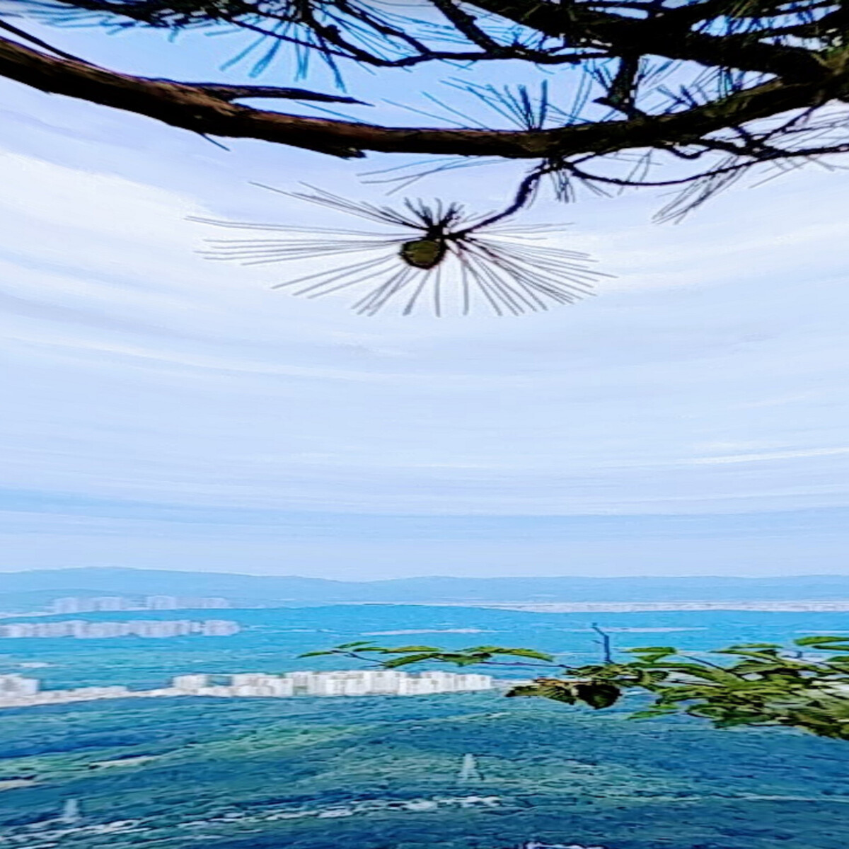 Places Albums: songs, discography, biography, and listening guide ...