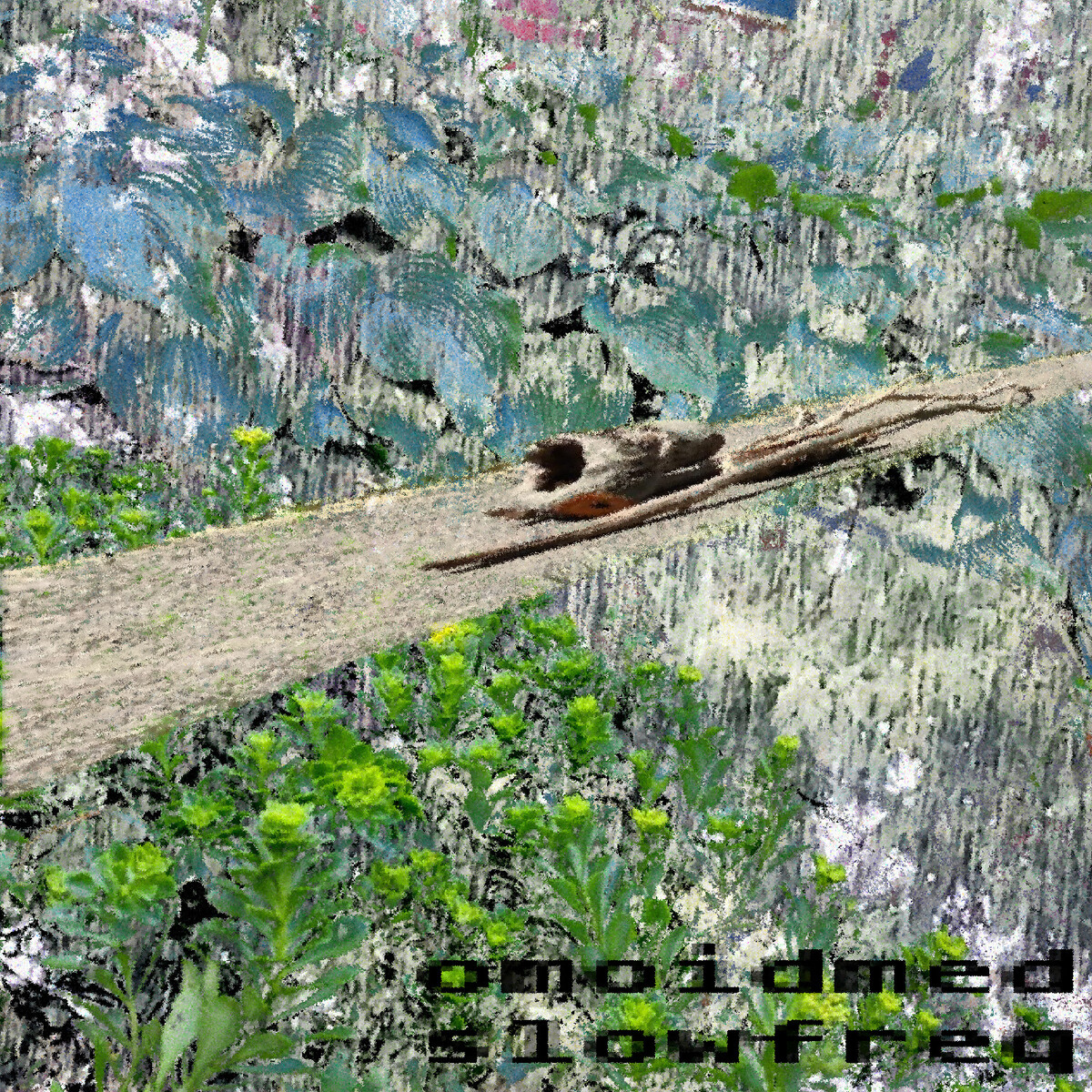 Best Skweee albums of 2022 - Rate Your Music