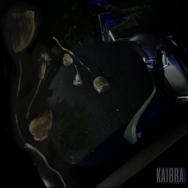 burn by Kaibra (Single): Reviews, Ratings, Credits, Song list - Rate ...