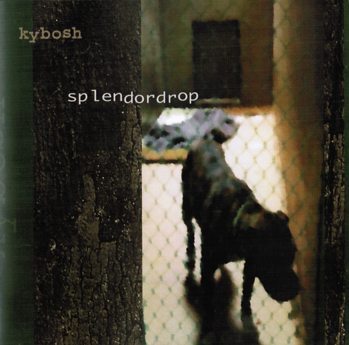 Splendordrop by Kybosh (Album): Reviews, Ratings, Credits, Song list ...