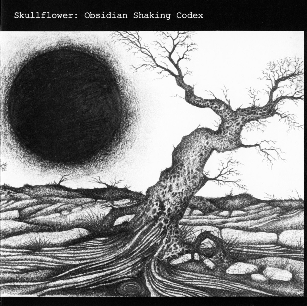 Obsidian Shaking Codex by Skullflower (Album, Drone): Reviews, Ratings ...