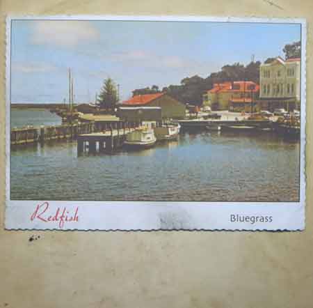 Redfish Bluegrass Band Albums: songs, discography, biography, and ...