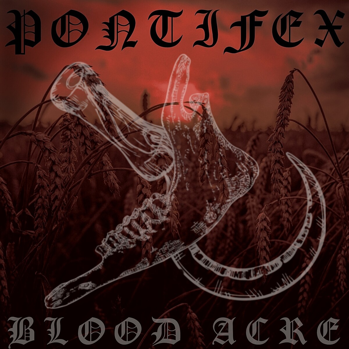Blood Acre by Pontifex (Single): Reviews, Ratings, Credits, Song list ...