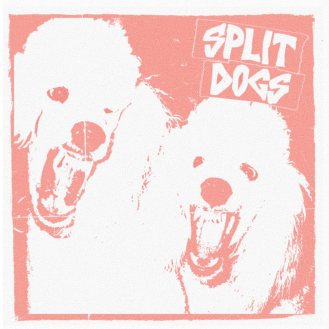 SPLIT DOGS by Split Dogs (Album, Punk Rock): Reviews, Ratings, Credits ...