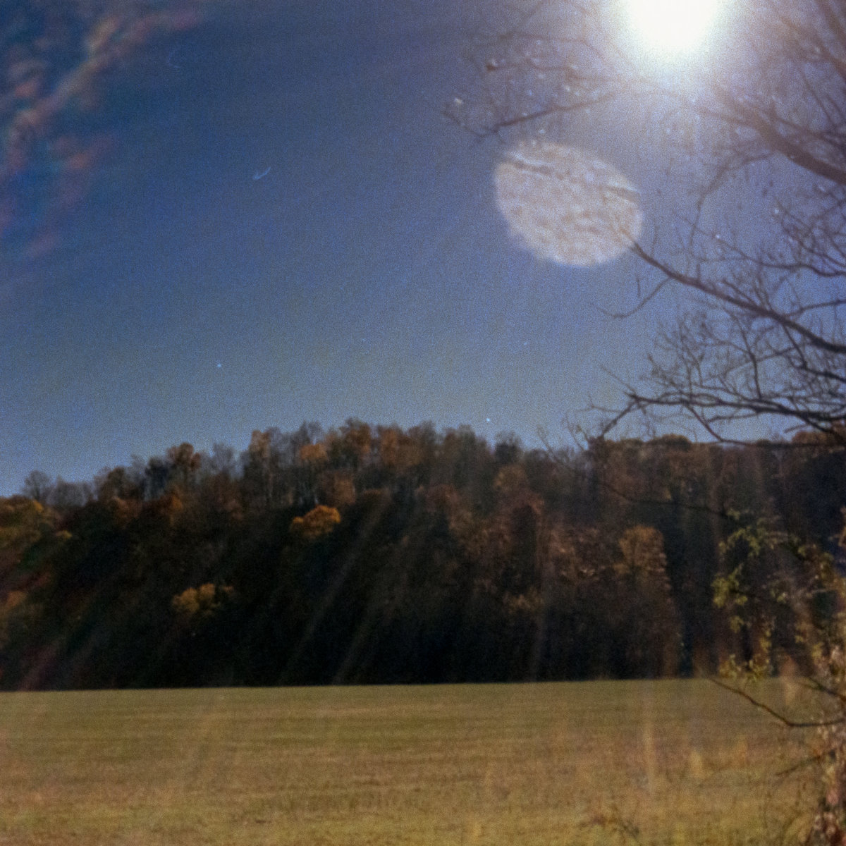 For the Evening by Speaking in Tongues (Single): Reviews, Ratings ...