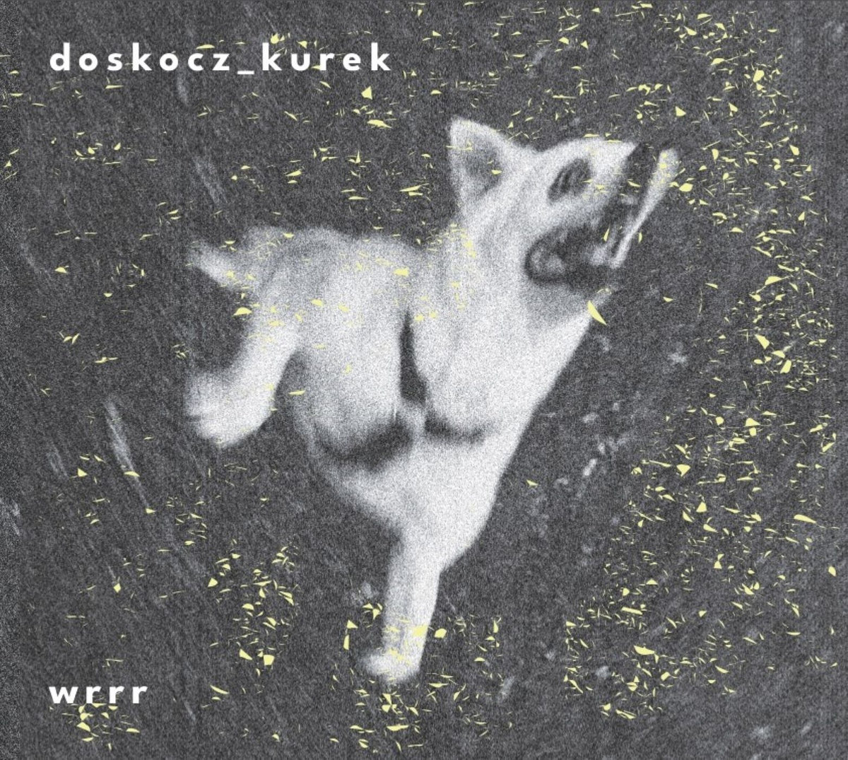 wrrr by Paweł Doskocz & Wojtek Kurek (Album): Reviews, Ratings, Credits ...