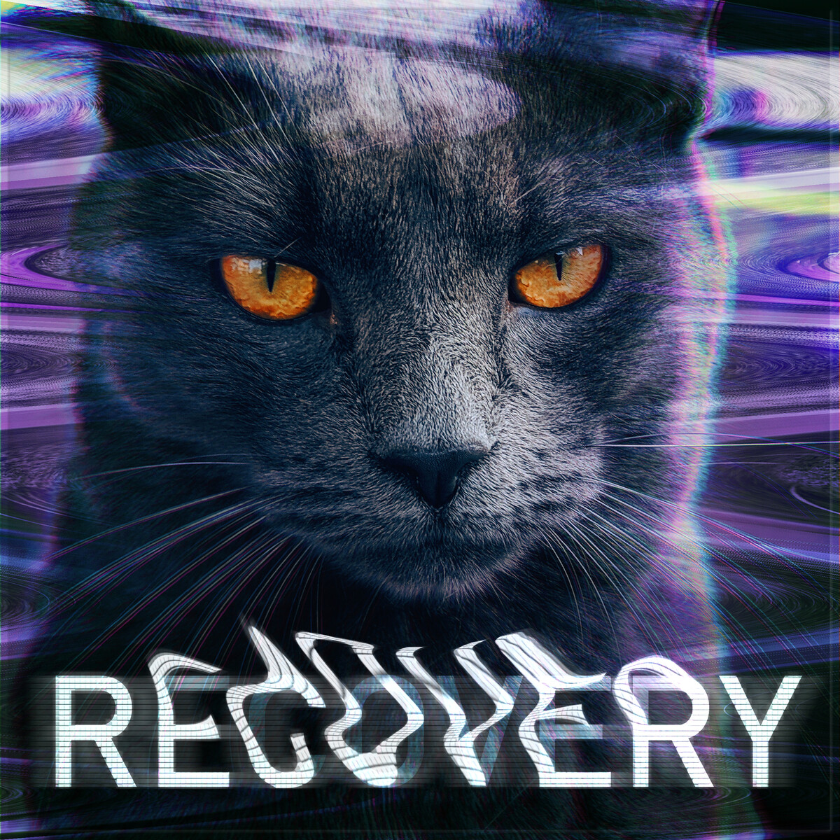 Recovery by Pivotal (Single): Reviews, Ratings, Credits, Song list ...