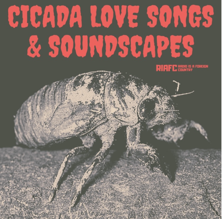Most popular Insect Sounds mixtapes of 2024 - Rate Your Music