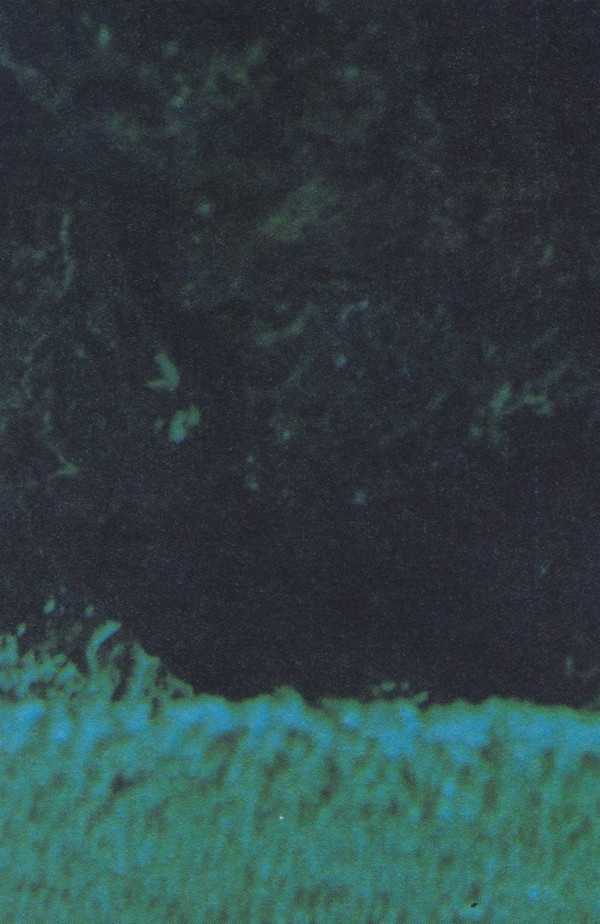 Nascent Dawn by Zen Zsigo & Niels Geybels (EP, Drone): Reviews, Ratings ...