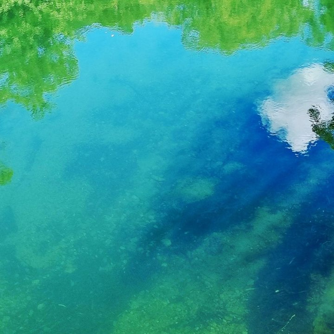 Best IDM albums of 2025 - Rate Your Music