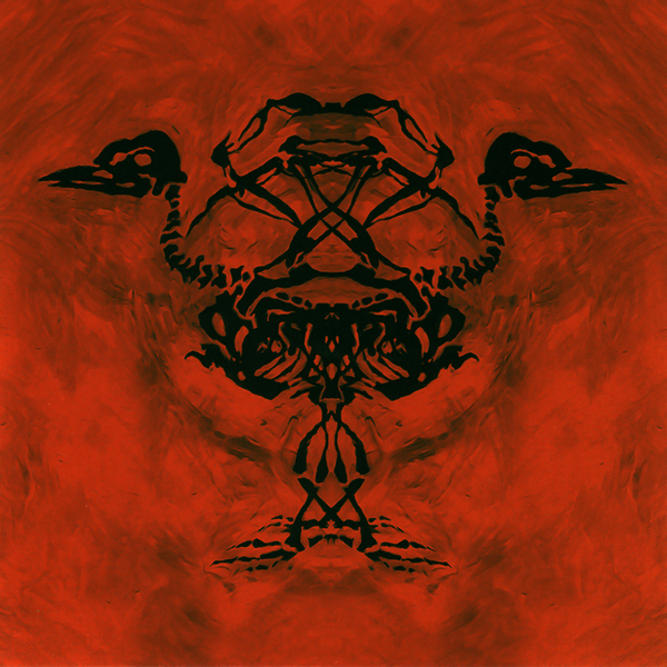 Mokoma Albums: songs, discography, biography, and listening guide ...