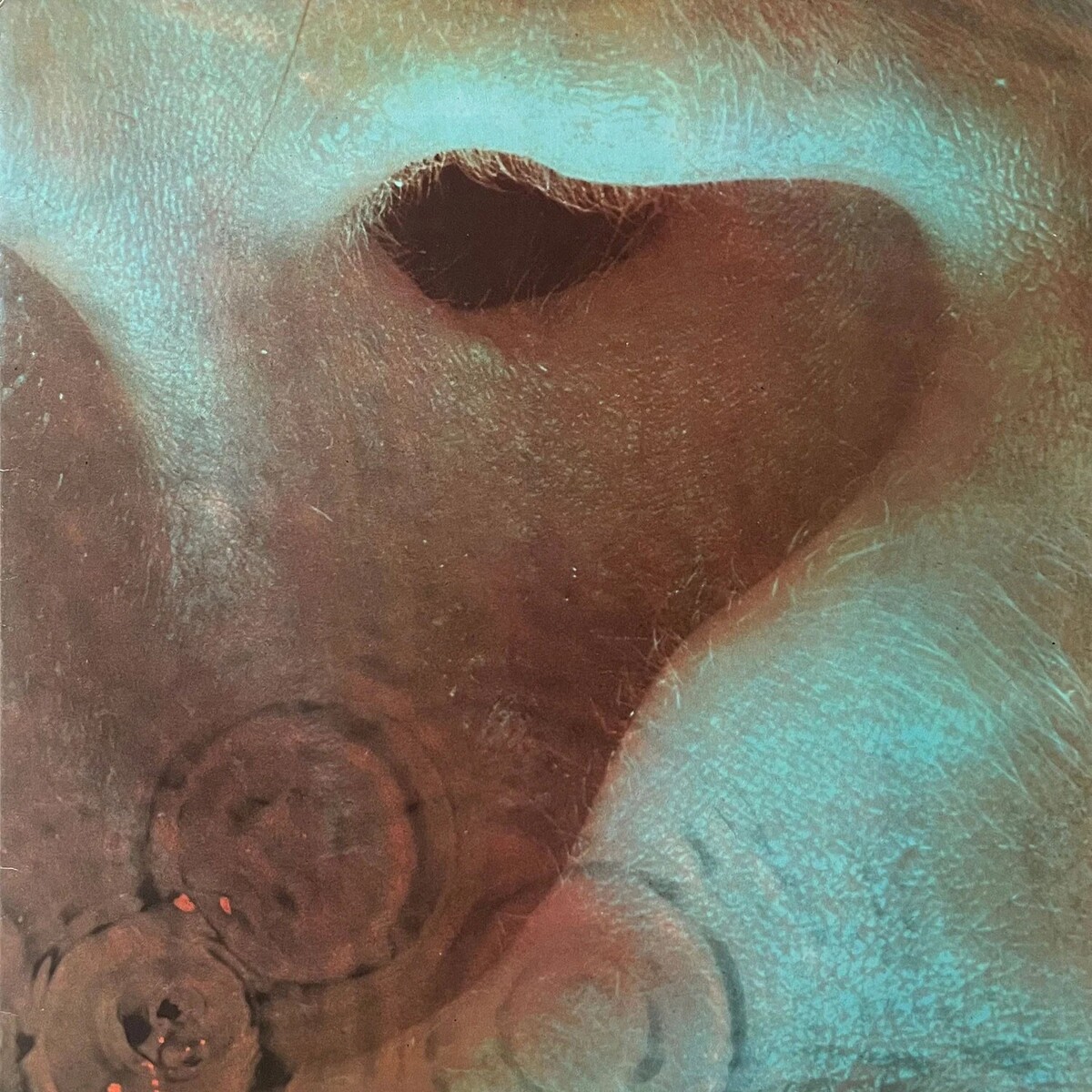 Meddle by Pink Floyd (Album, Progressive Rock): Reviews, Ratings ...