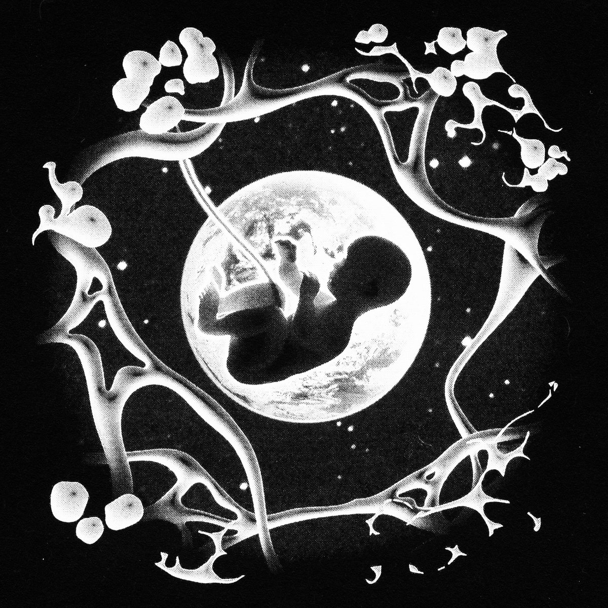 Best Forest Psytrance albums of 2022 - Rate Your Music