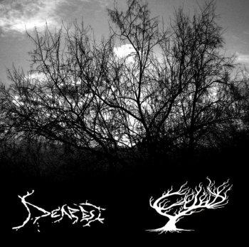 Cynd Albums: songs, discography, biography, and listening guide - Rate ...