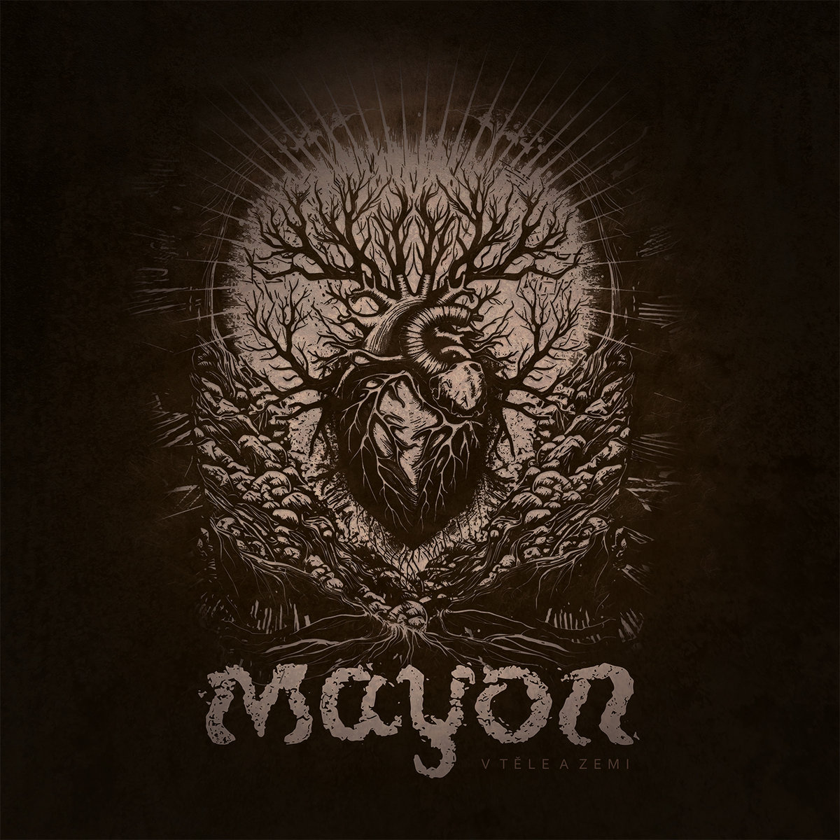 V těle a zemi by Mayon (Album): Reviews, Ratings, Credits, Song list ...