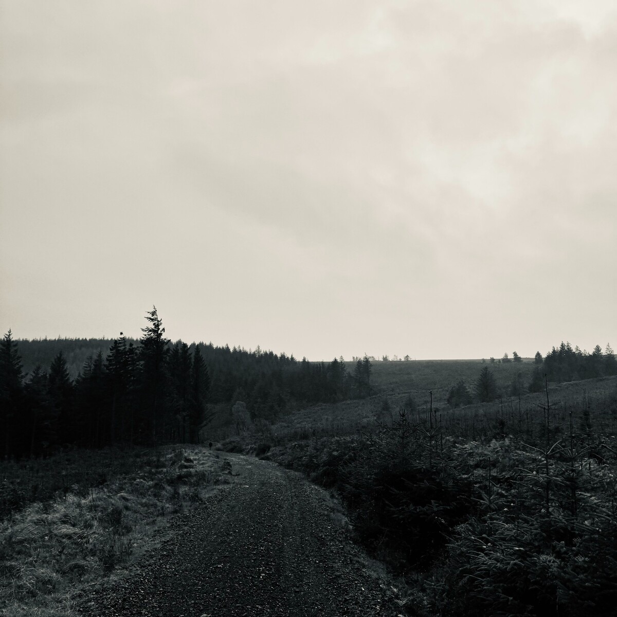 De Selby Albums: songs, discography, biography, and listening guide ...