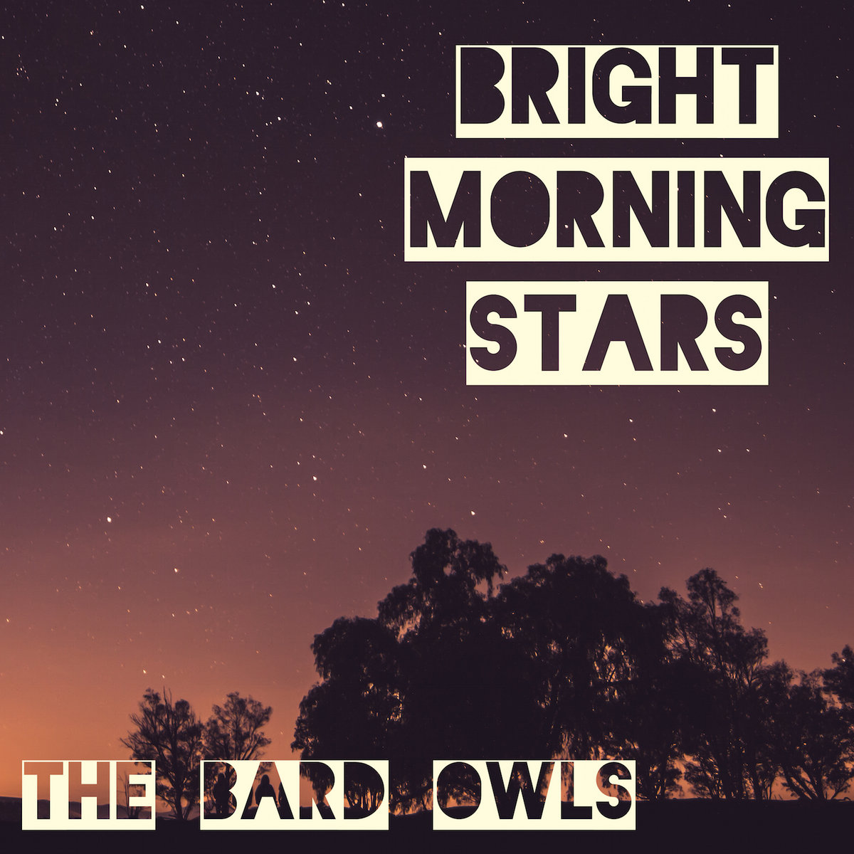 The Bard Owls Albums: songs, discography, biography, and listening ...