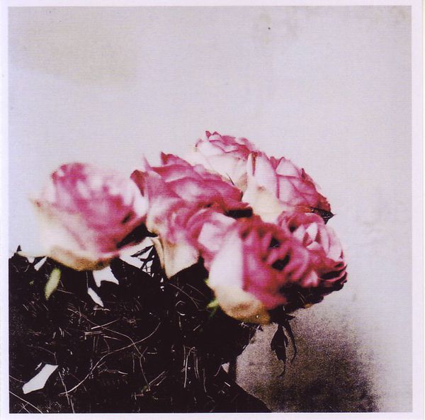 Love Logic by Minuano (Album, Shibuya-kei): Reviews, Ratings, Credits ...