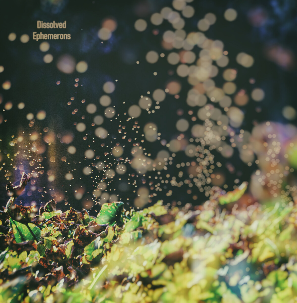 Ephemerons by Dissolved (Album): Reviews, Ratings, Credits, Song list ...