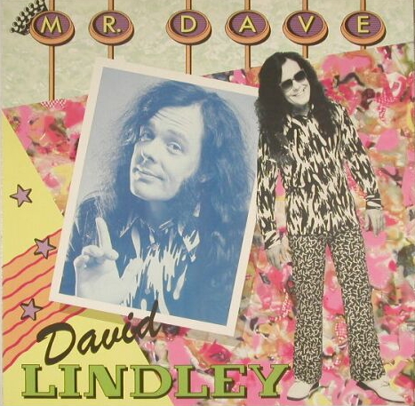 Mr. Dave by David Lindley (Album, Pop Reggae): Reviews, Ratings, Credits, Song list - Rate Your ...