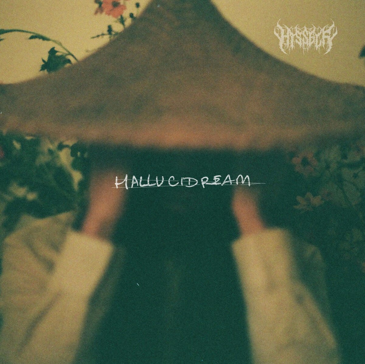 Hallucidream by hisself (Single): Reviews, Ratings, Credits, Song list ...