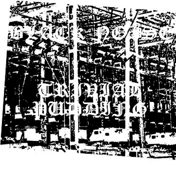 Black Noise / Trivial Pudding by Black Noise / Trivial Pudding (Album ...
