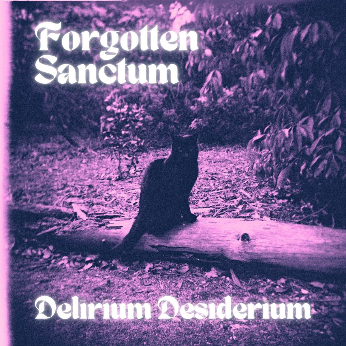 Delirium Desiderium by Forgotten Sanctum (EP; n/a; n/a): Reviews ...