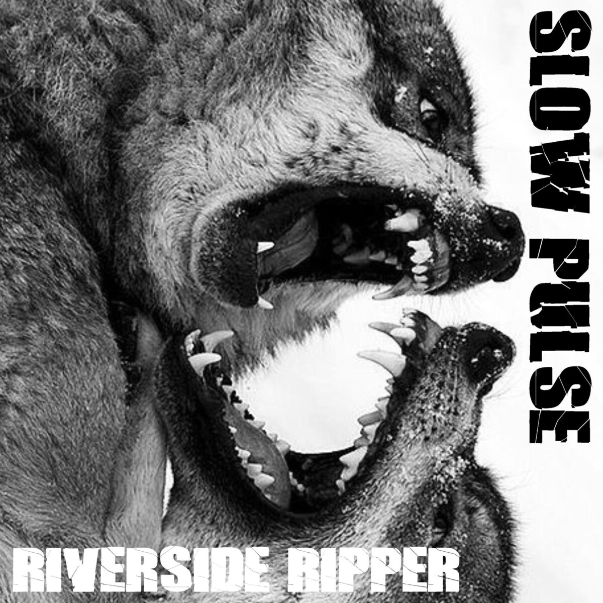 Riverside Ripper by Slow Pulse (Single): Reviews, Ratings, Credits, Song list - Rate Your Music