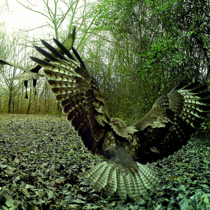 A BAD DAY Albums: songs, discography, biography, and listening guide ...