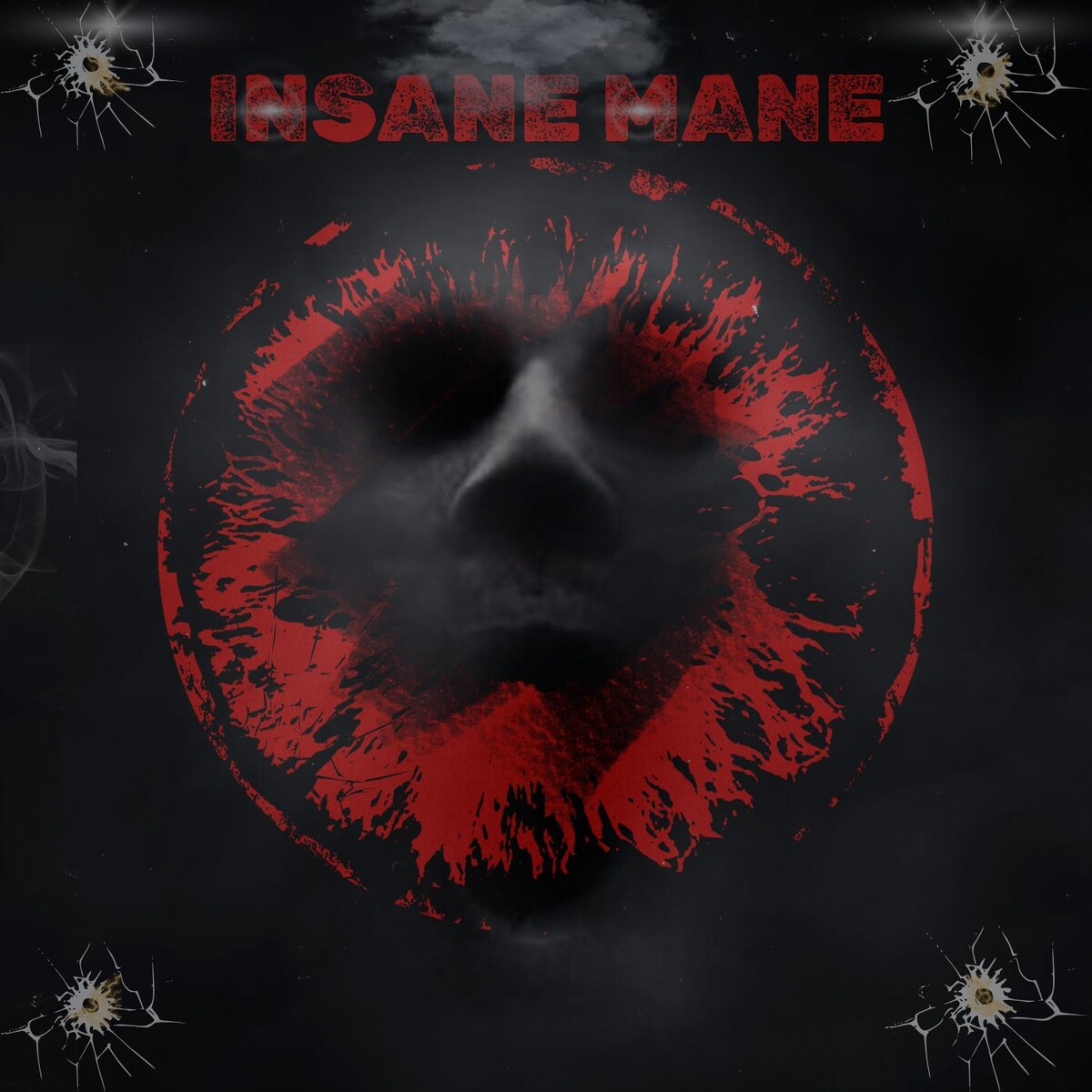 Insane Mane by DJ Insane (Album): Reviews, Ratings, Credits, Song list ...