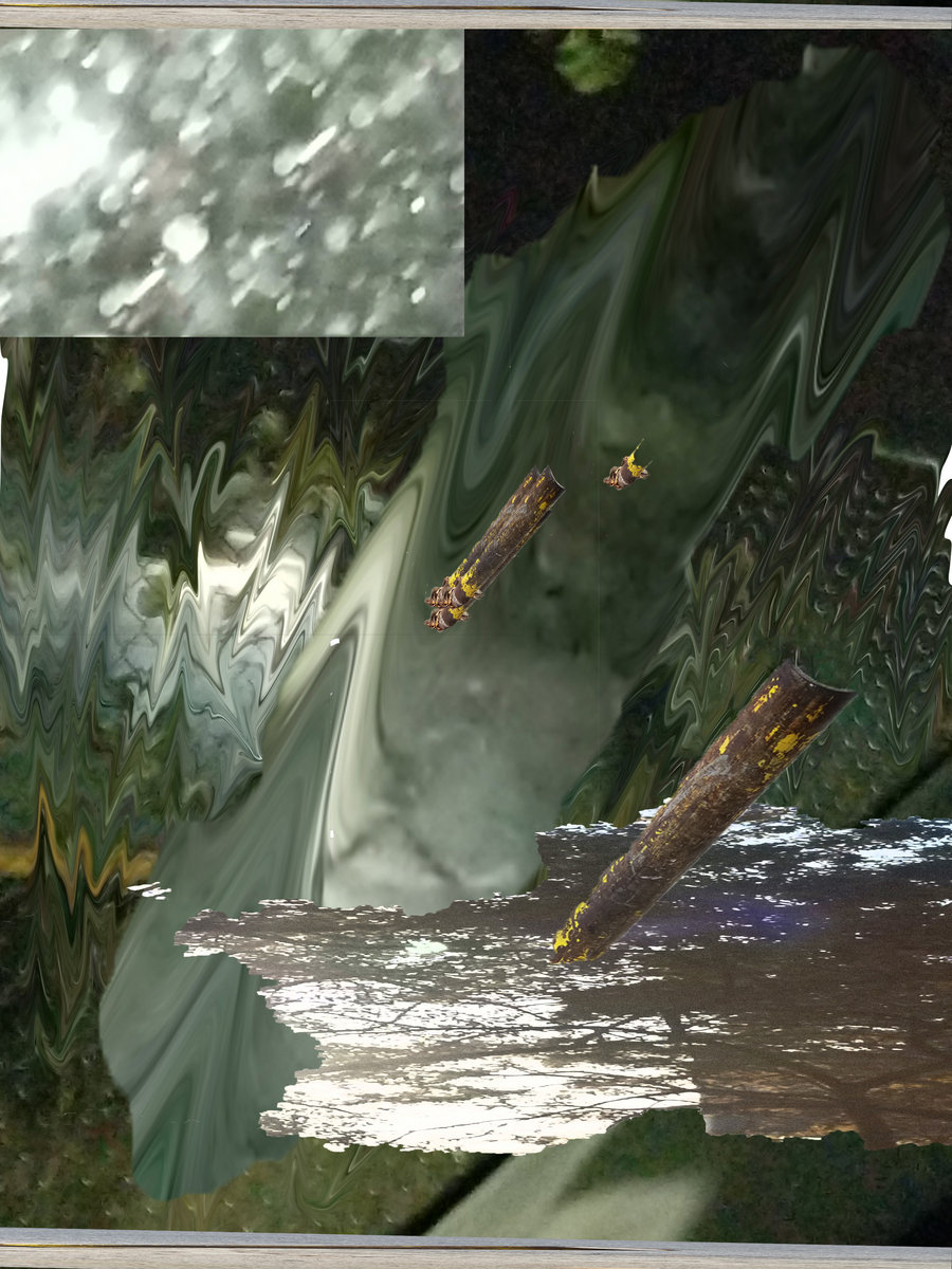 Dunce-cap.Wizard! by Evelyn Luvtell (Album): Reviews, Ratings, Credits ...