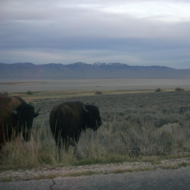 Steven J. Walker by Steven J. Walker (Album): Reviews, Ratings, Credits ...