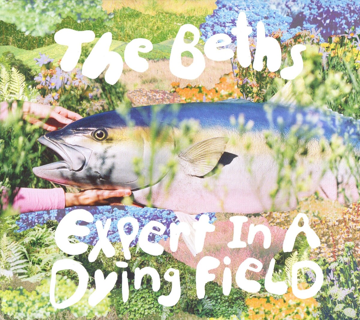 Expert in a Dying Field by The Beths (Album; Ivy League; IVY832 ...