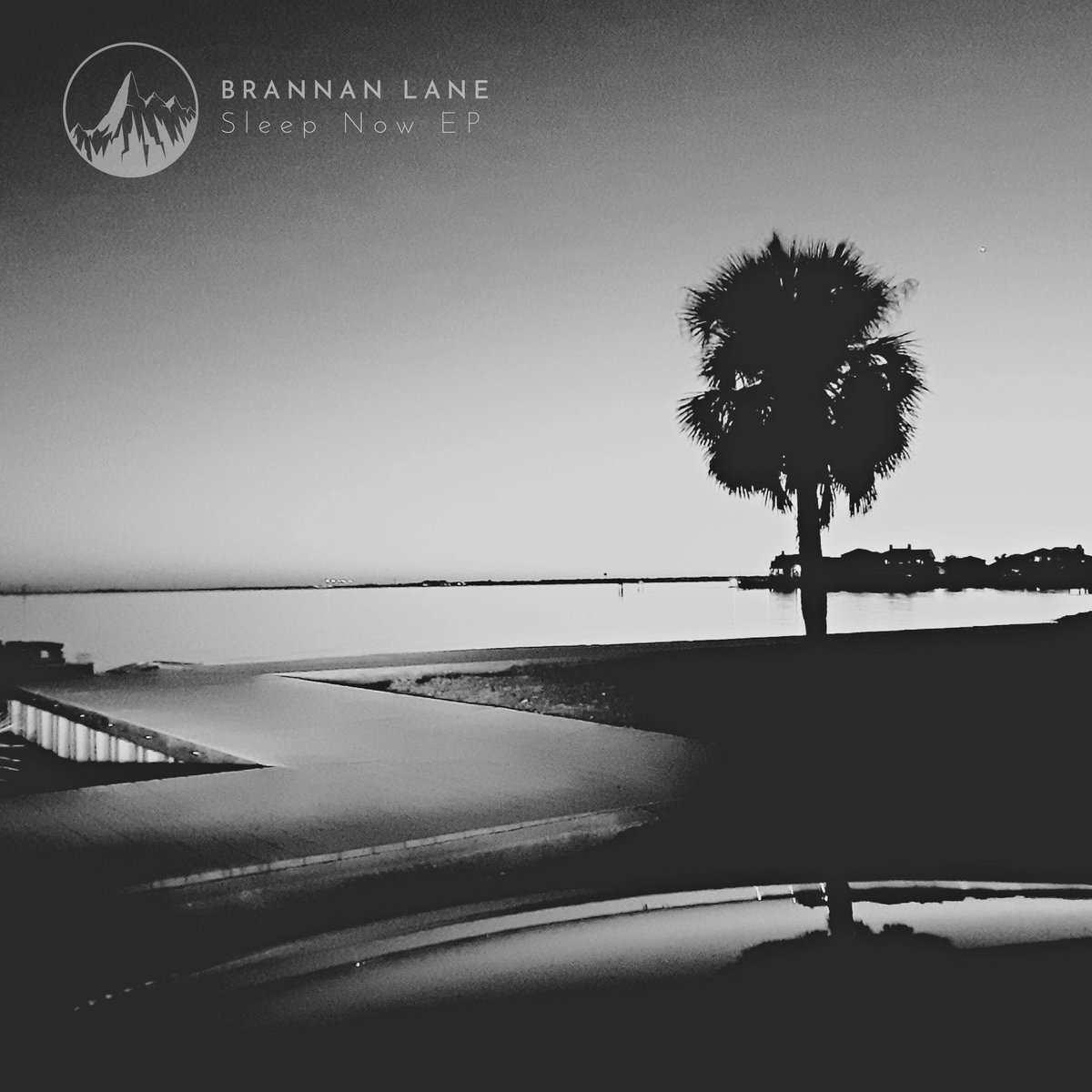 Sleep Now by Brannan Lane (EP, Ambient): Reviews, Ratings, Credits ...