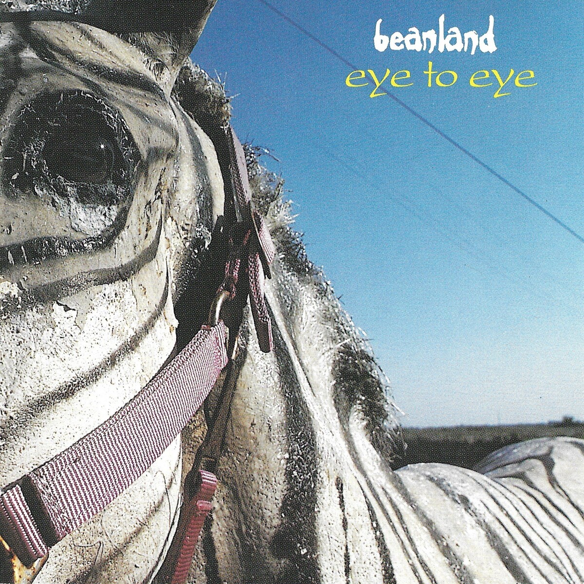 Eye to Eye by Beanland (Album): Reviews, Ratings, Credits, Song list ...