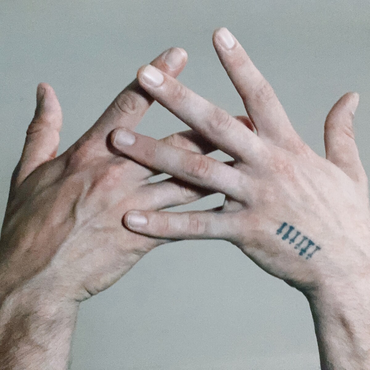 A Blade Because a Blade Is Whole by Alabaster dePlume (Album, Chamber ...