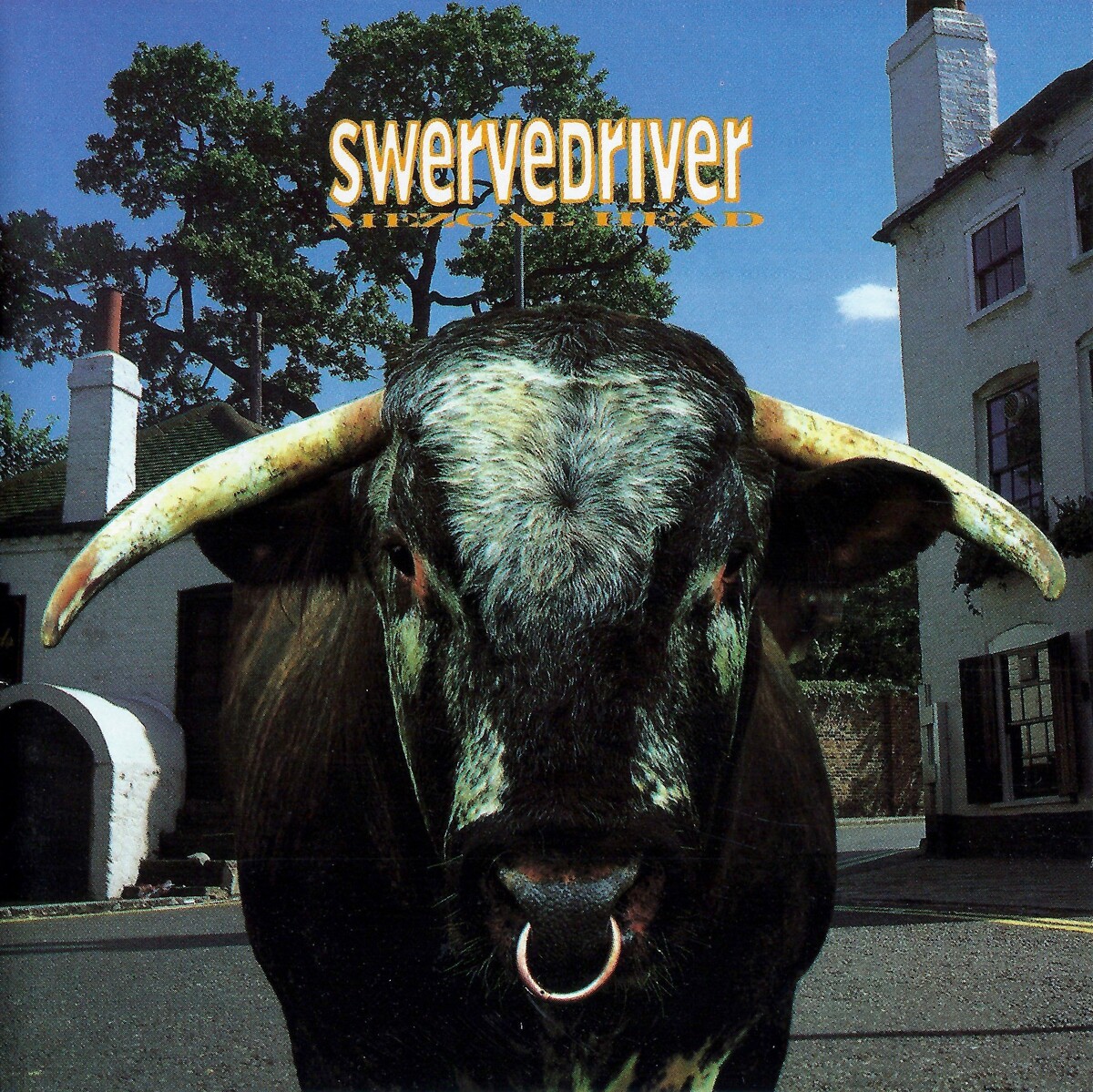 Mezcal Head by Swervedriver (Album; Creation; CRECD 143): Reviews ...