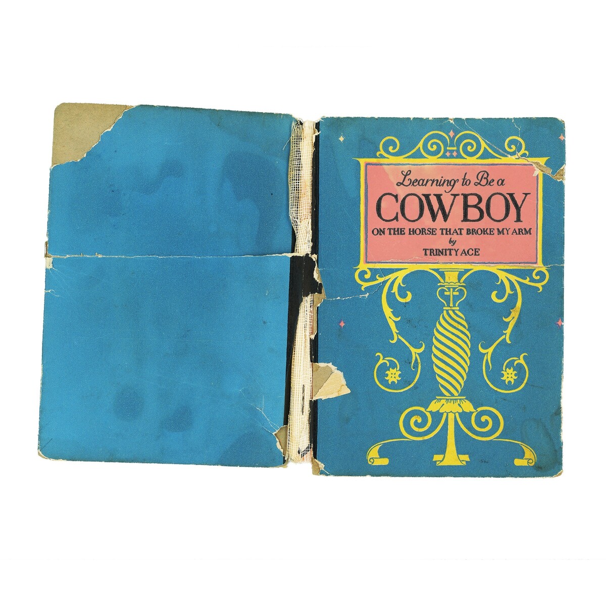 Learning to Be a Cowboy on the Horse That Broke My Arm by Trinity Ace ...