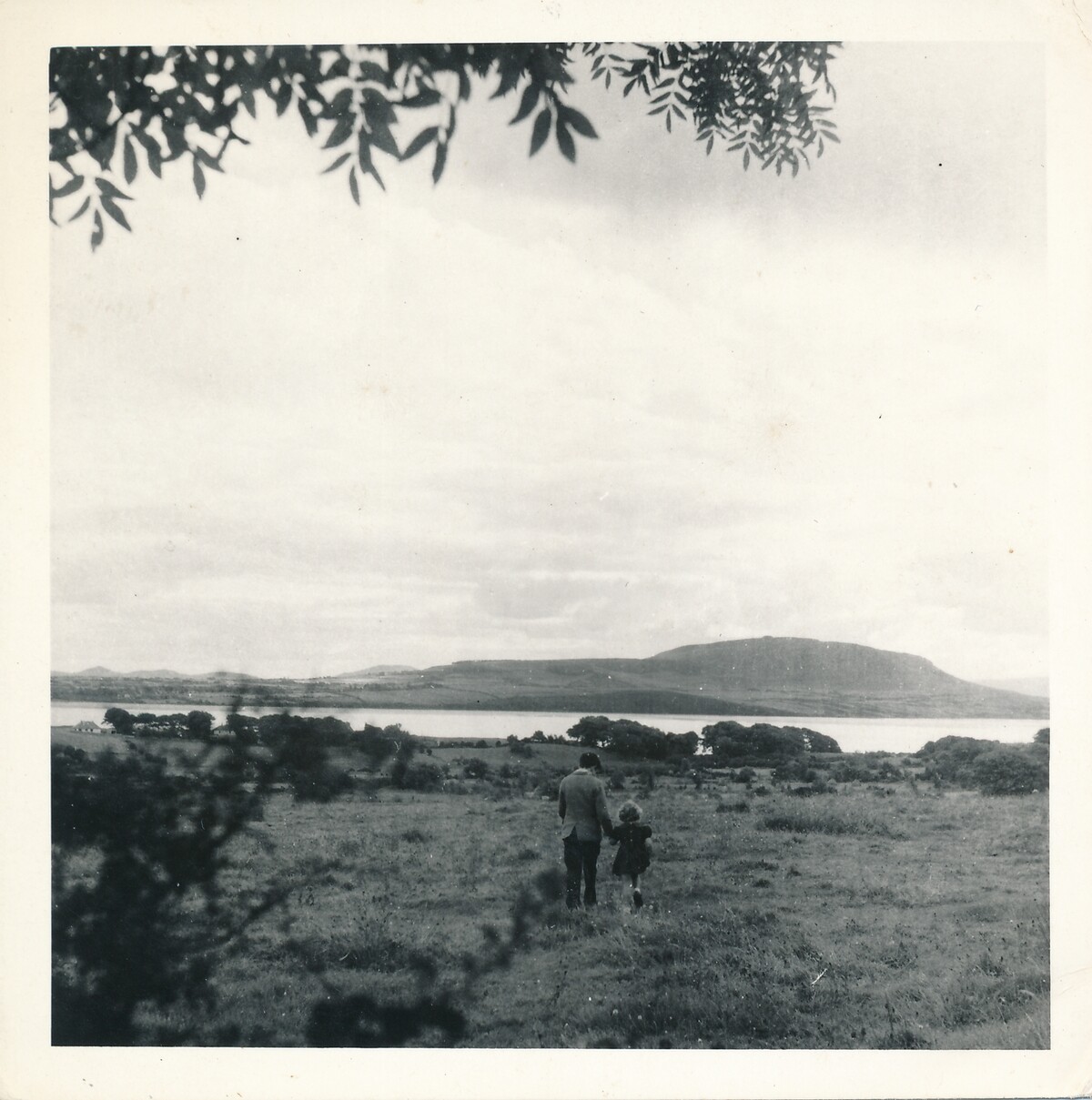 Best Jam Band albums of 2024 - Rate Your Music