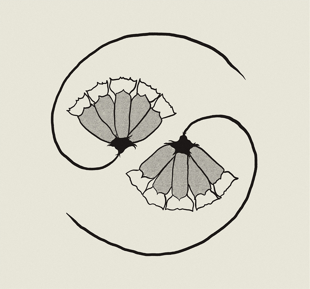 G_d's Pee AT STATE'S END! by Godspeed You! Black Emperor (Album, Post-Rock): Reviews, Ratings ...