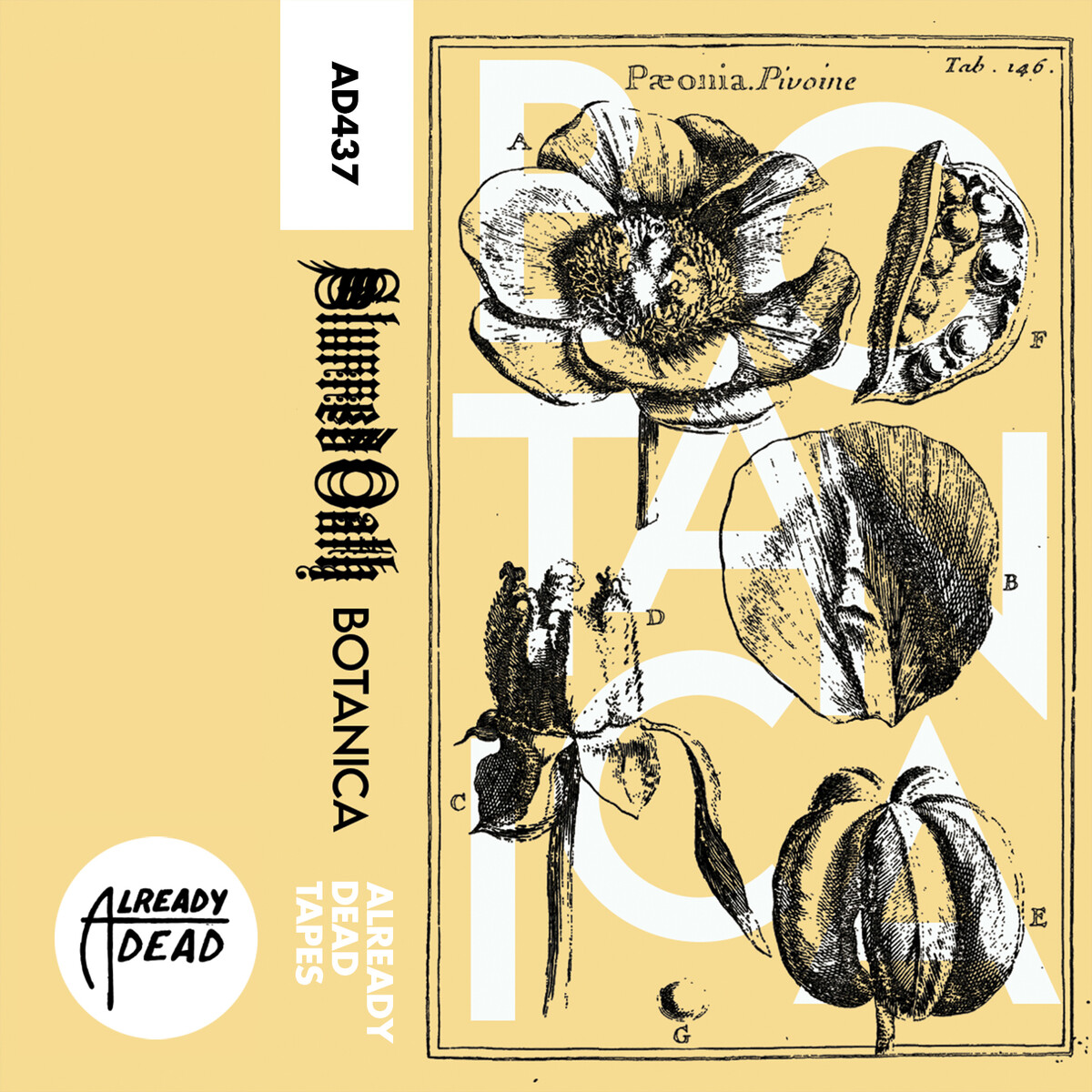Botanica by Slurred Oath (EP): Reviews, Ratings, Credits, Song list ...