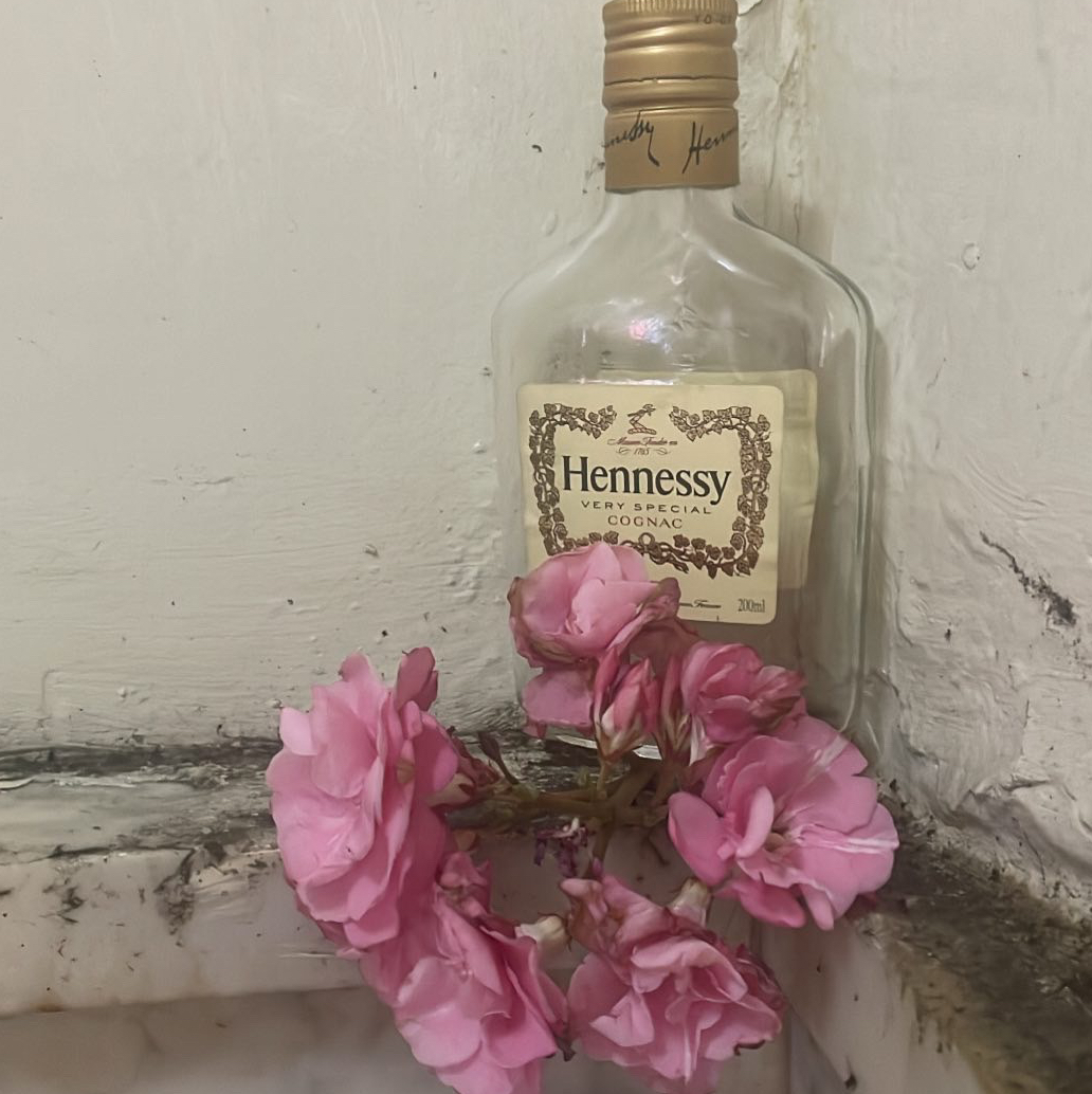 No Option by Evilgiane (Single, Coldwave): Reviews, Ratings, Credits ...